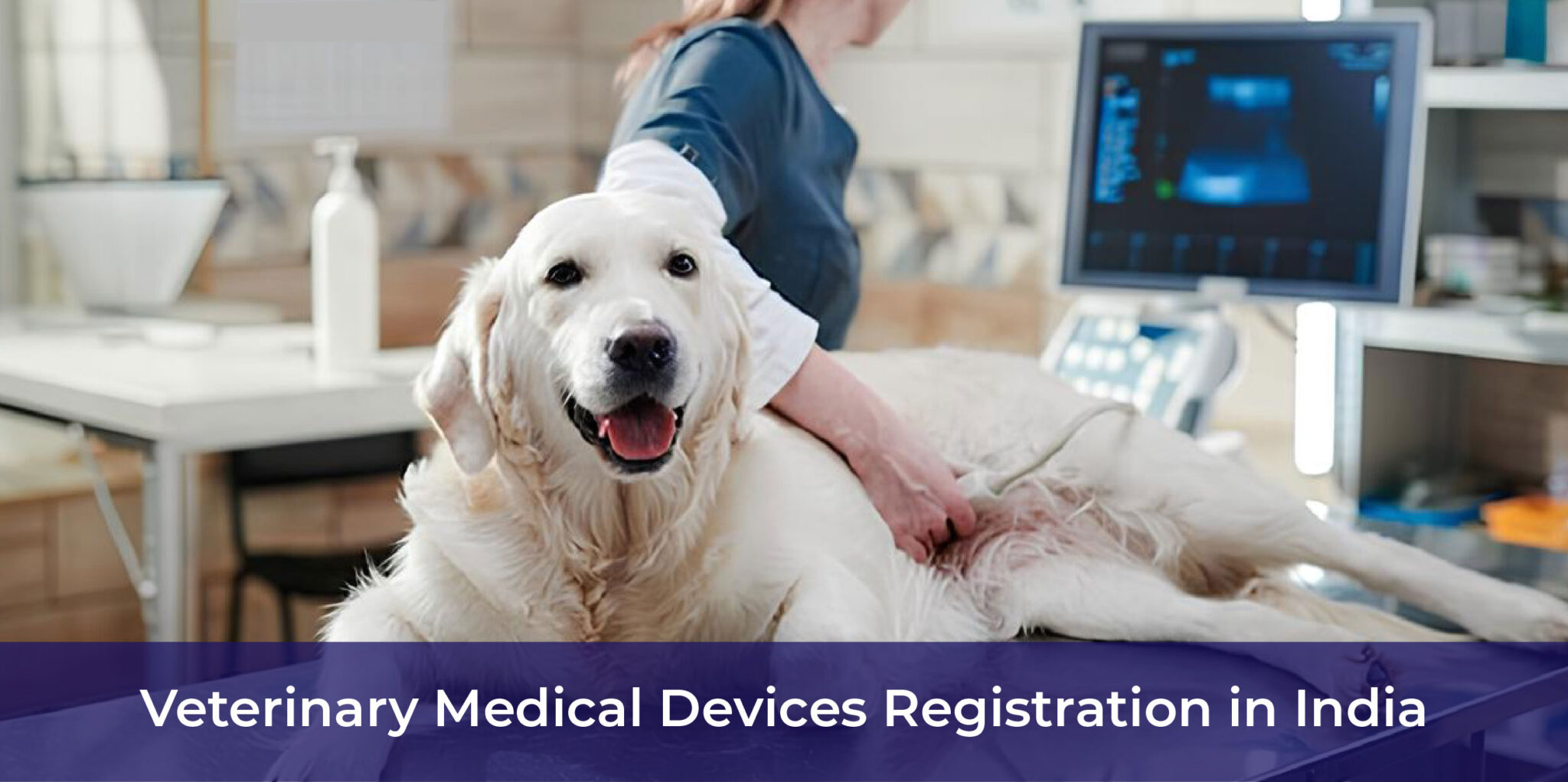 Veterinary Medical Devices | CDSCO Registration Services | Operon ...